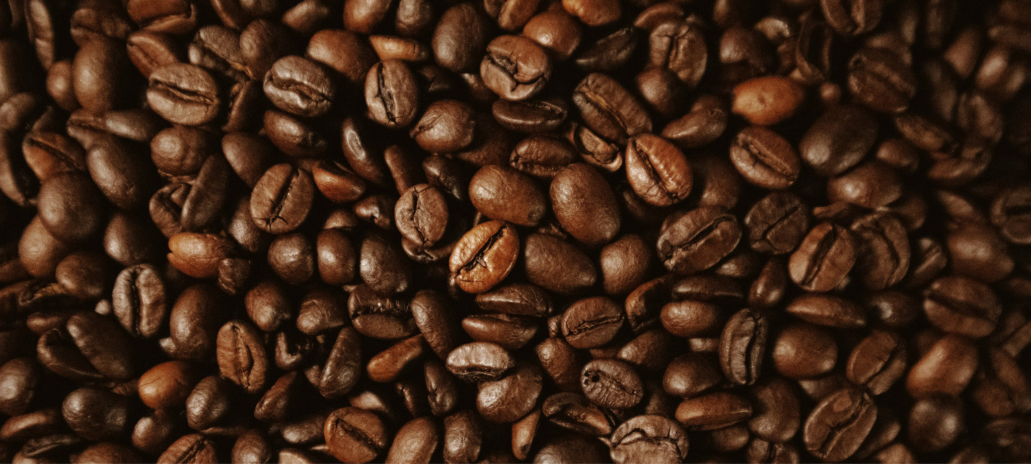 Café William | Sustainable, Fair Trade Coffee in Canada